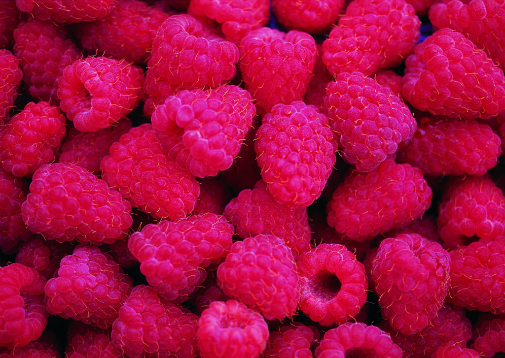 Raspberry Seeds – Plant Street